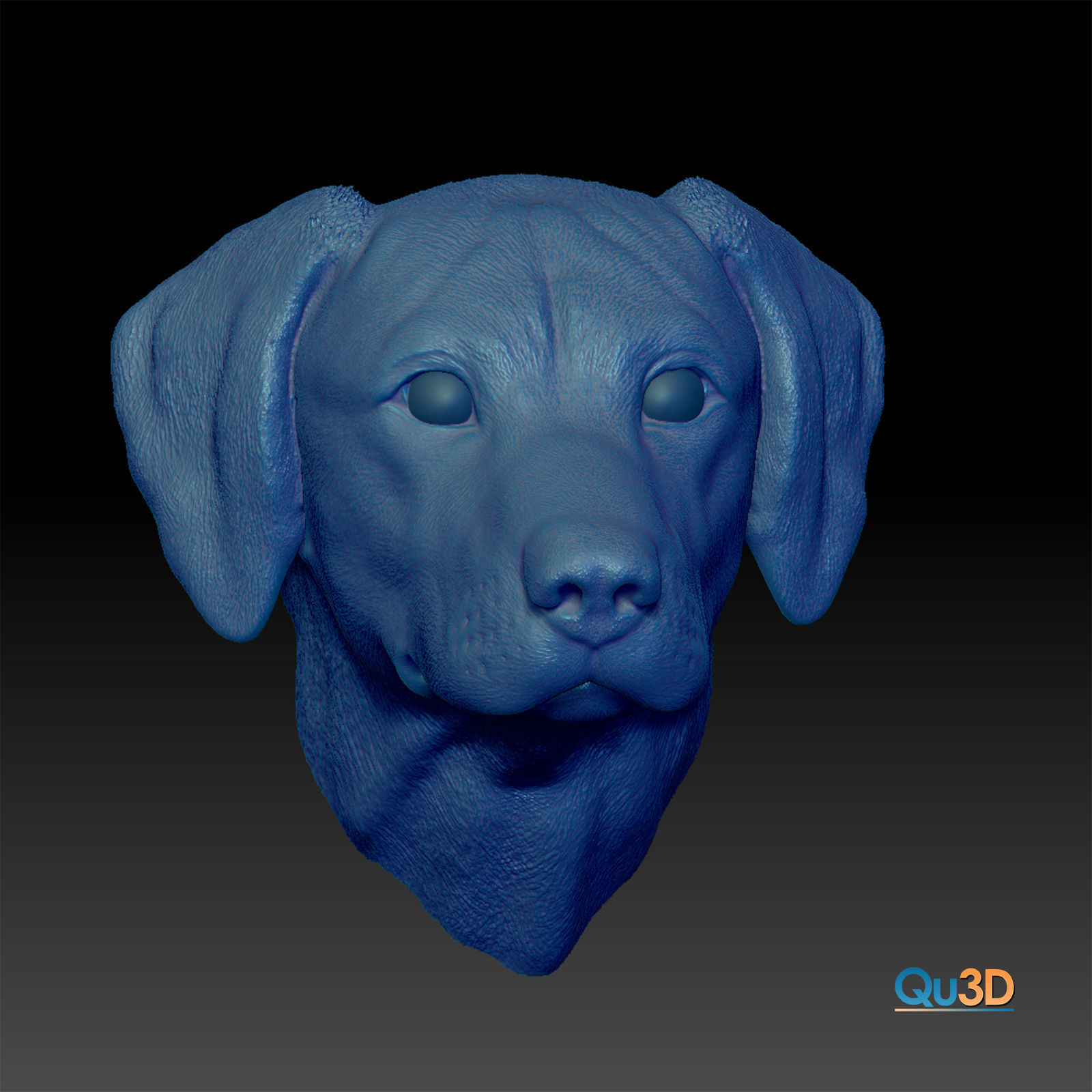 Rhodesian-Ridgeback- Head- High-end 3D print- High Poly Model 3D model ...