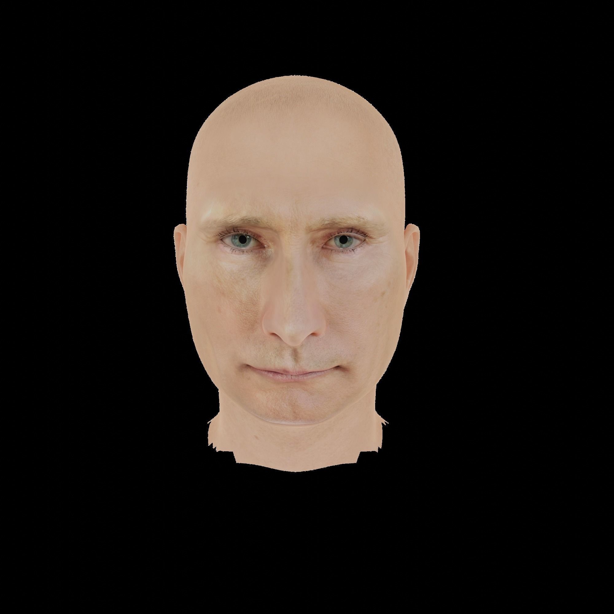 Putin head 3D model | CGTrader
