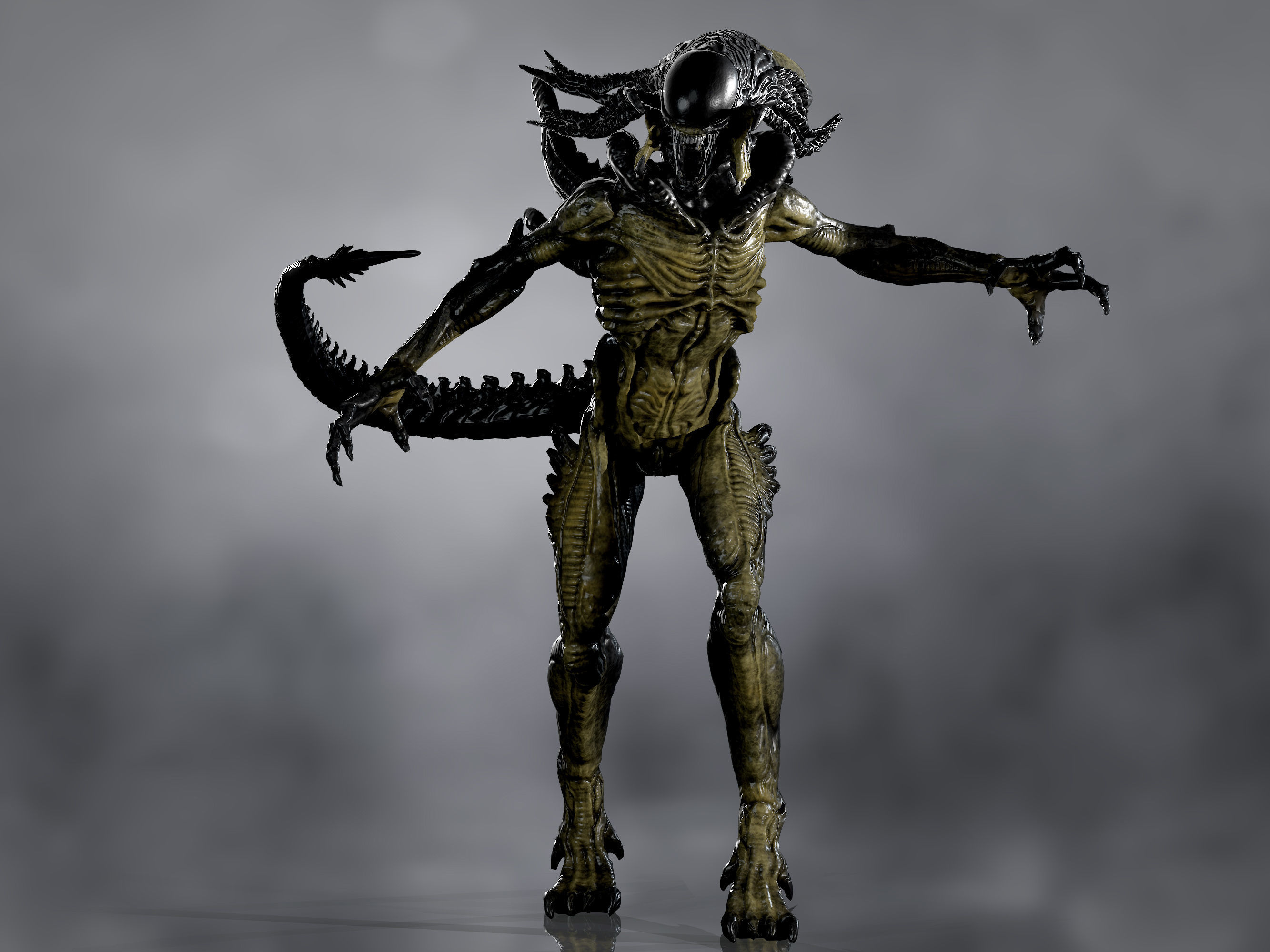 3D model Predalien VR / AR / low-poly rigged | CGTrader