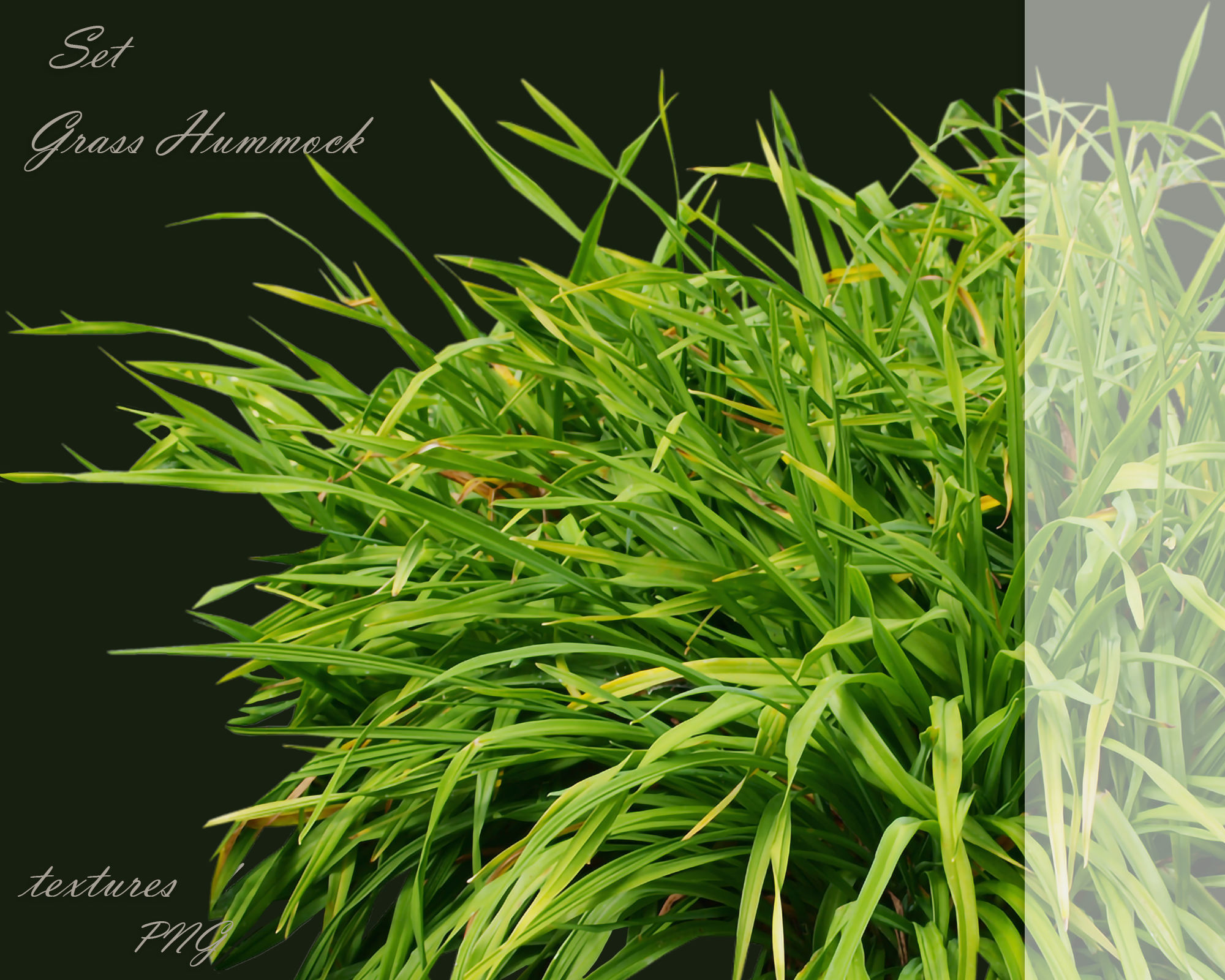 Texture Set of Texture Grass hummock PNG VR / AR / low-poly | CGTrader