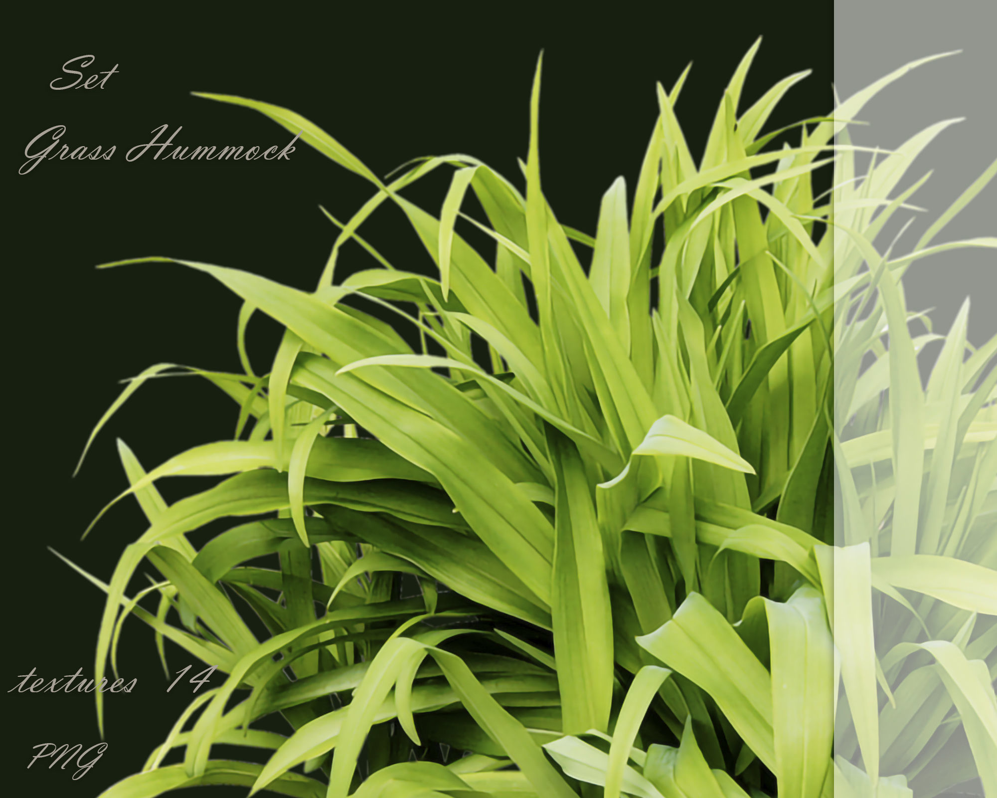Texture Set of Texture Grass hummock PNG VR / AR / low-poly | CGTrader