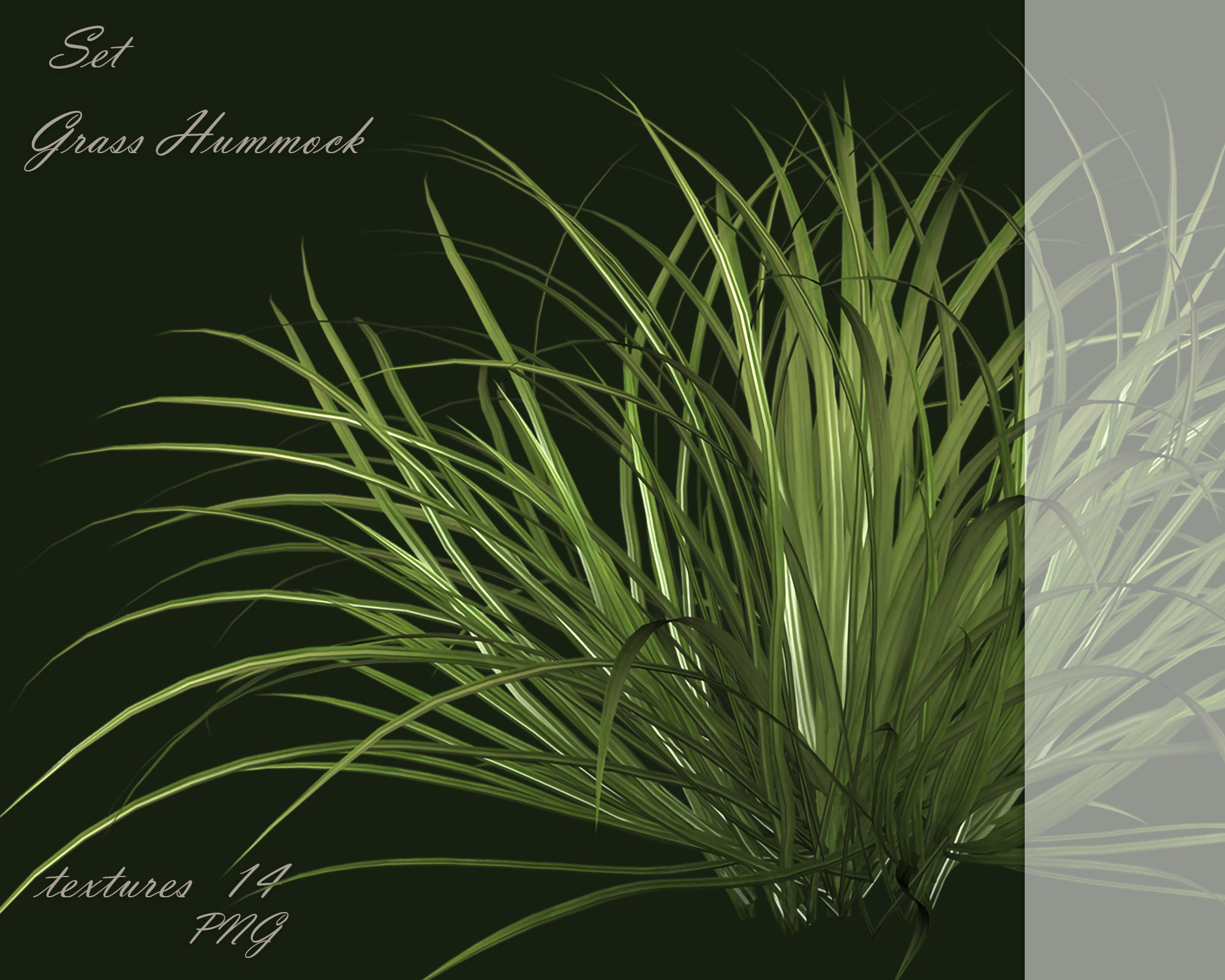 Texture Set of Texture Grass hummock PNG VR / AR / low-poly | CGTrader