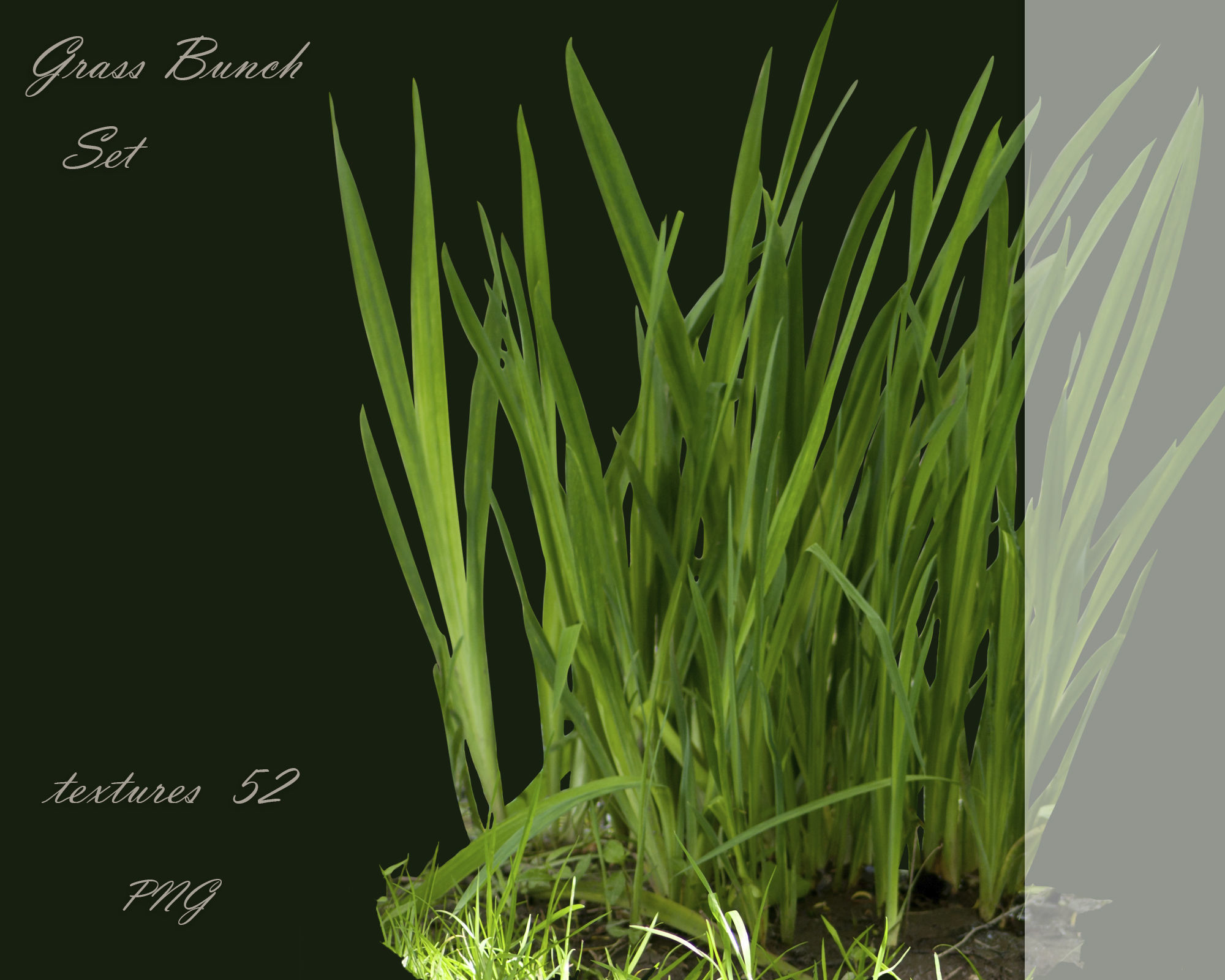 Texture Set of Texture Grass bunch PNG VR / AR / low-poly | CGTrader