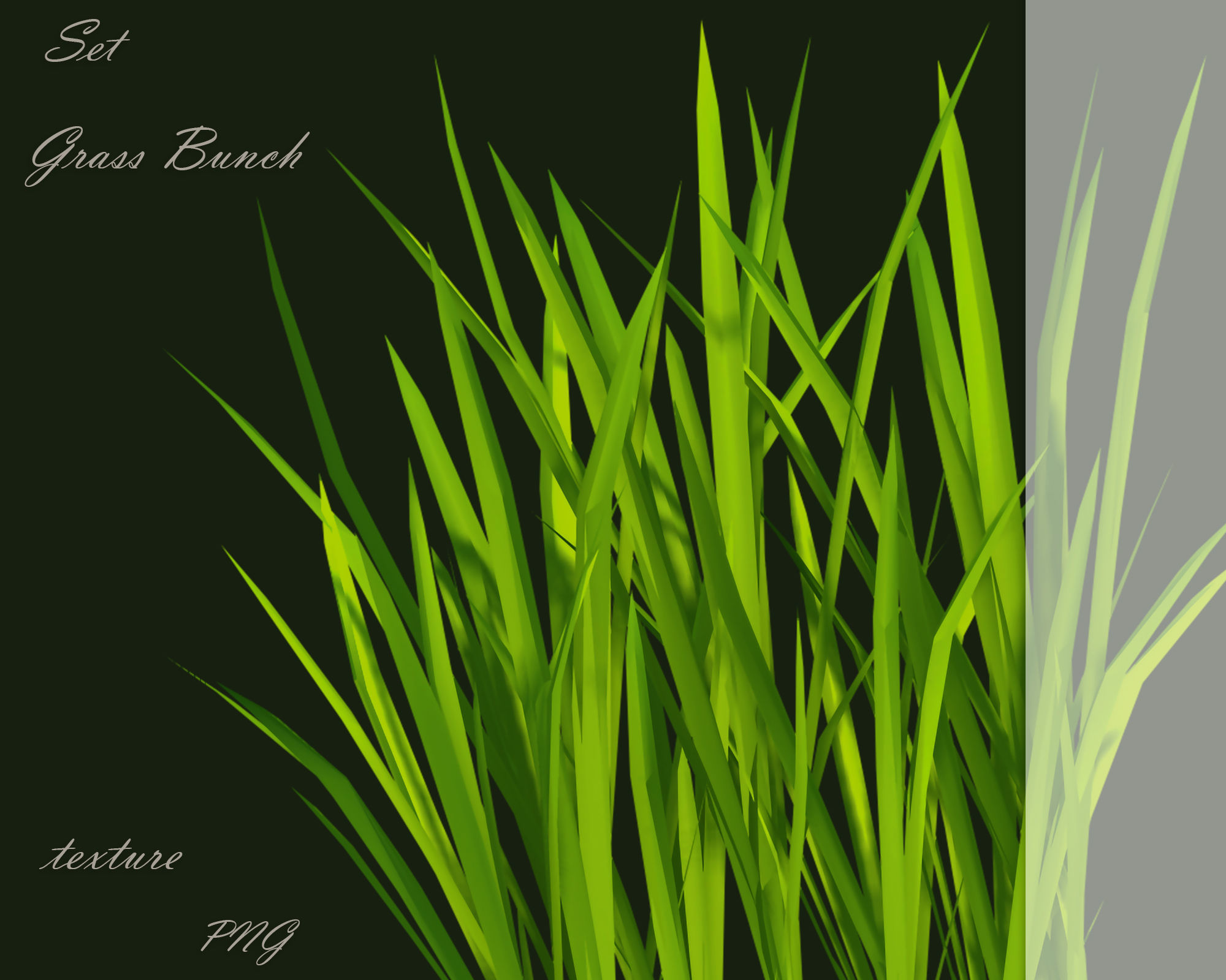 Texture Set of Texture Grass bunch PNG VR / AR / low-poly | CGTrader