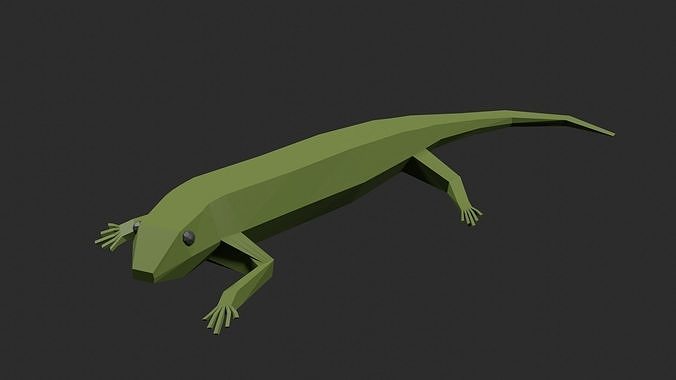 3D model Lowpoly Lizard VR / AR / low-poly | CGTrader