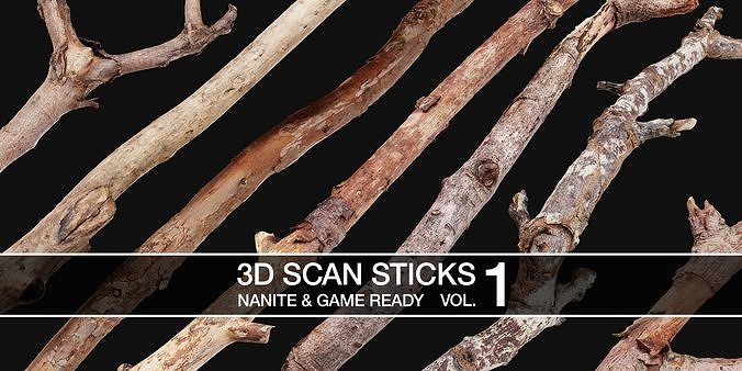 3D model 3D Scanned Sticks VR / AR / low-poly | CGTrader