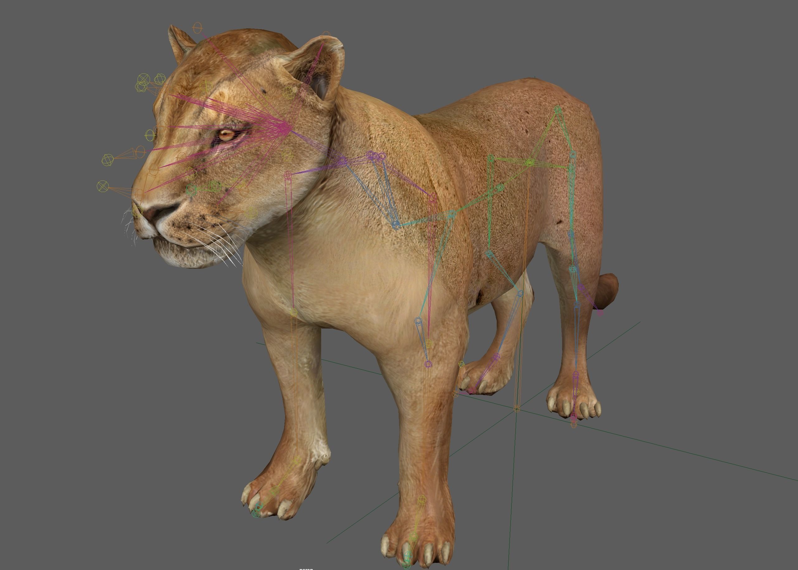 3D model Lion female - Lioness Rig VR / AR / low-poly | CGTrader