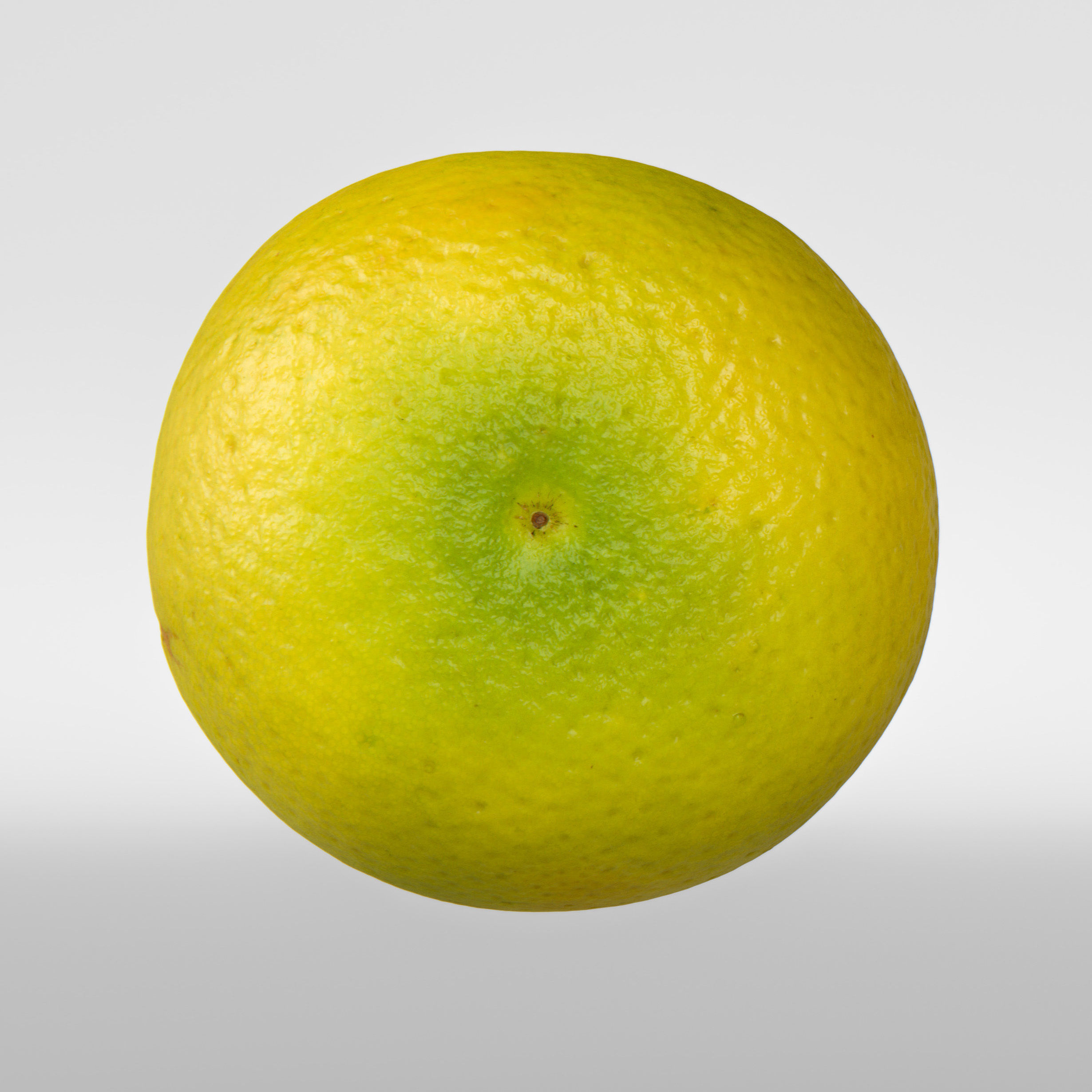 Grapefruit 001 3D model | CGTrader