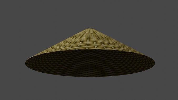 Japanese Conical Hat