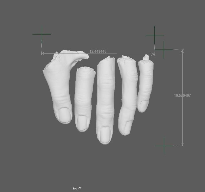 Severed Fingers 3D model 3D printable | CGTrader