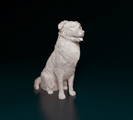 Australian shepherd dog 3D model 3D printable | CGTrader