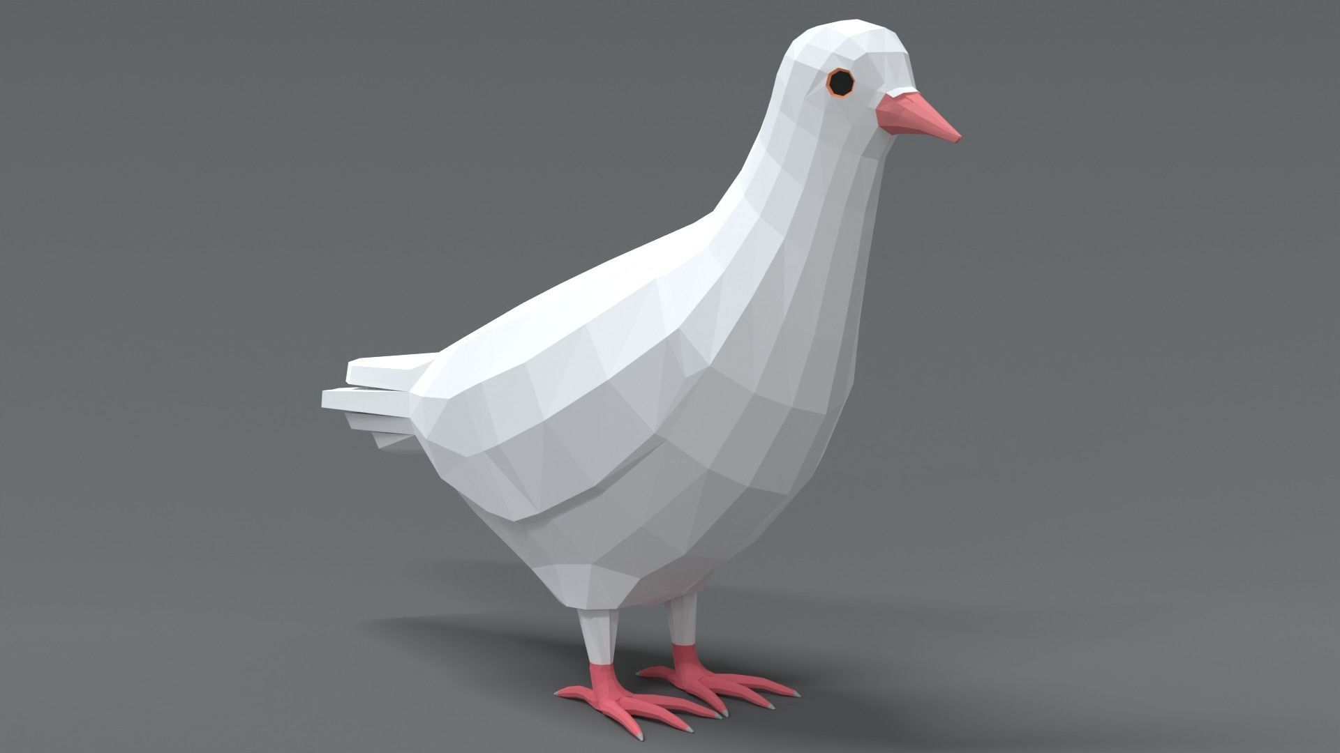3D model Low Poly Cartoon White Pigeon VR / AR / low-poly | CGTrader