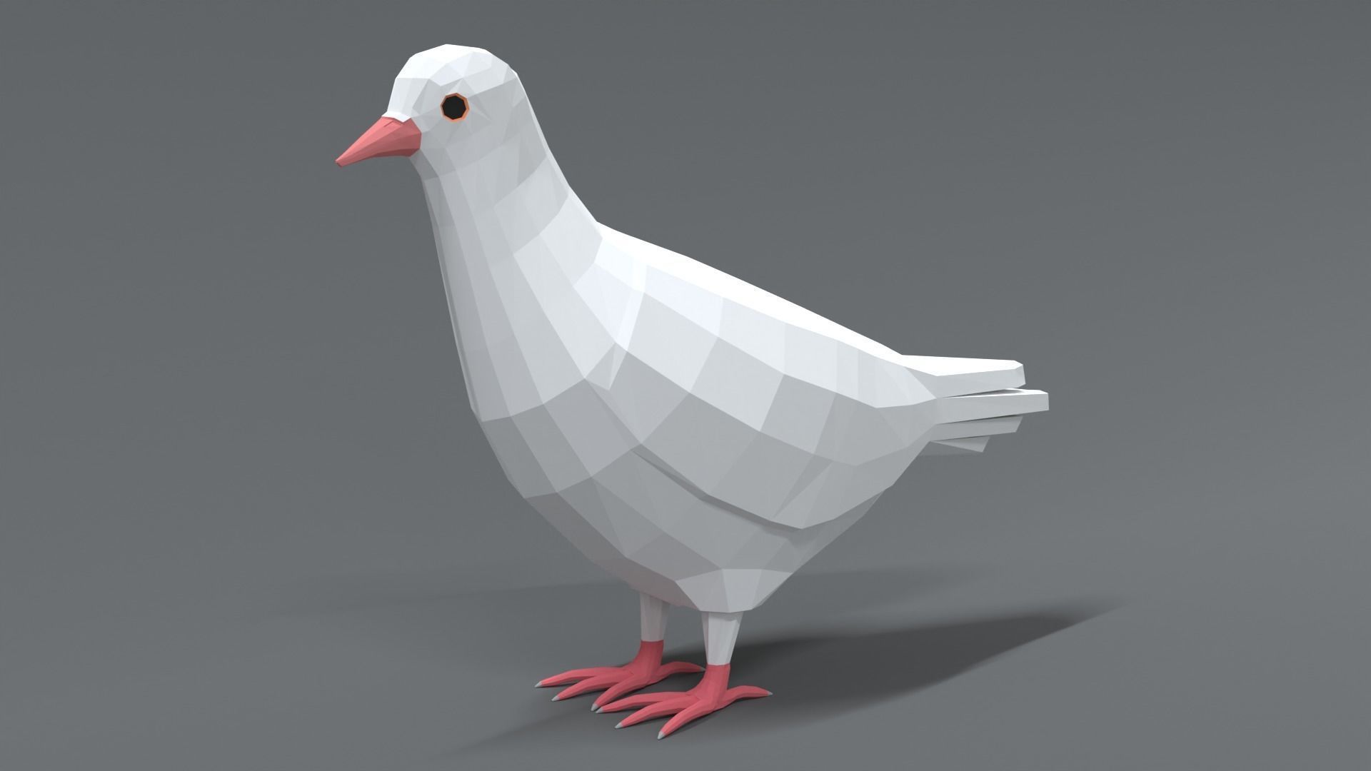 3D model Low Poly Cartoon White Pigeon VR / AR / low-poly | CGTrader