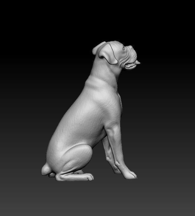 Boxer dog 3D model 3D printable | CGTrader