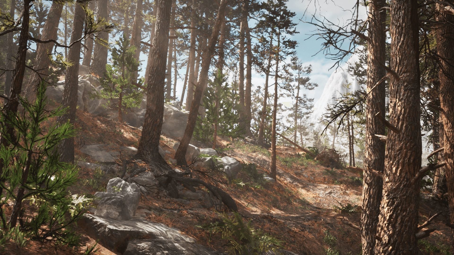 3D model Rocky Pine Trees Forest Biome VR / AR / low-poly | CGTrader