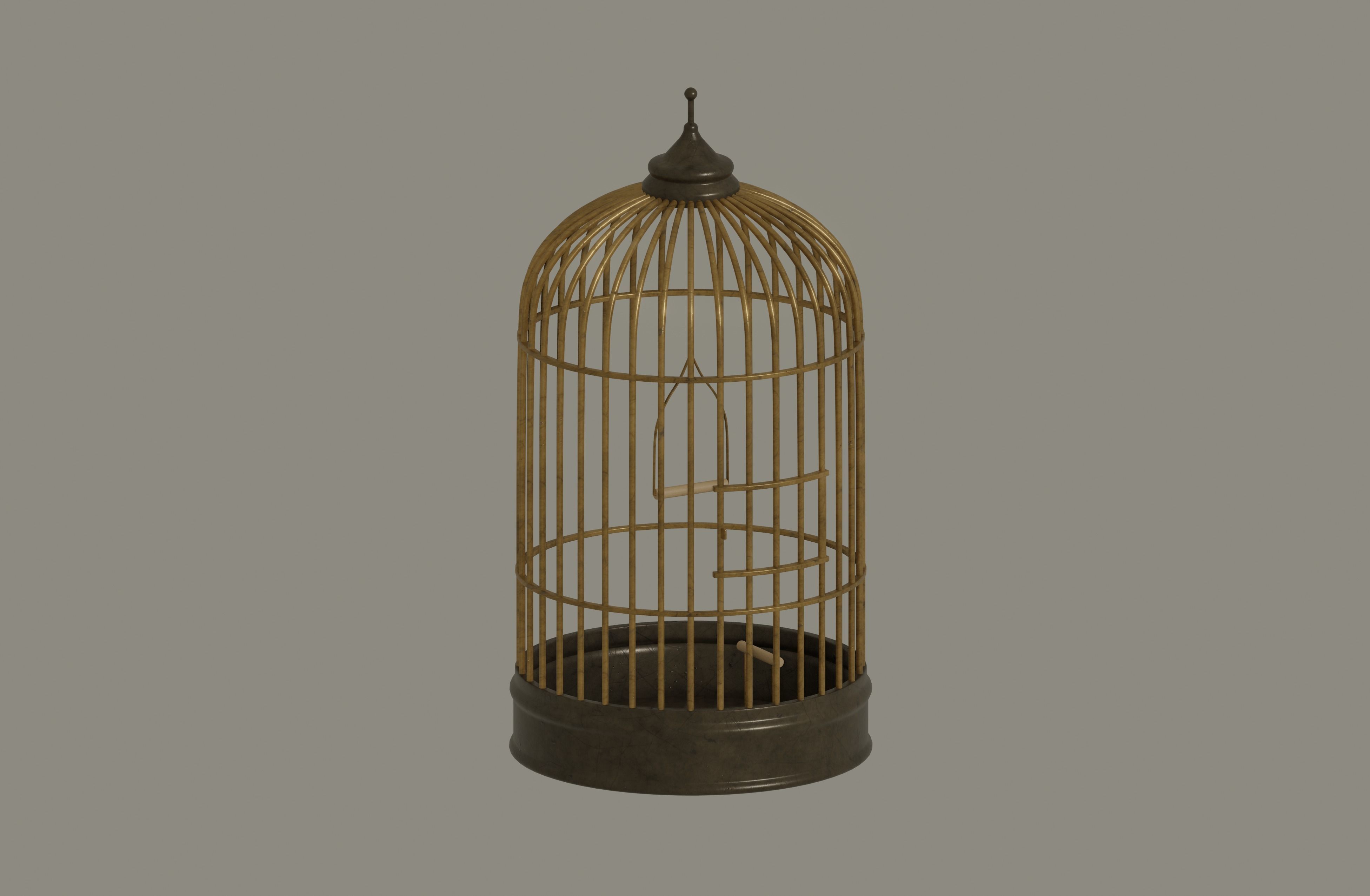 Bird Cage 3D model rigged | CGTrader