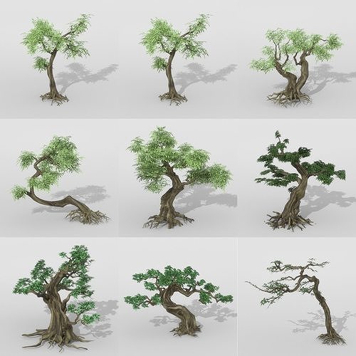 Tree 1 3D model | CGTrader
