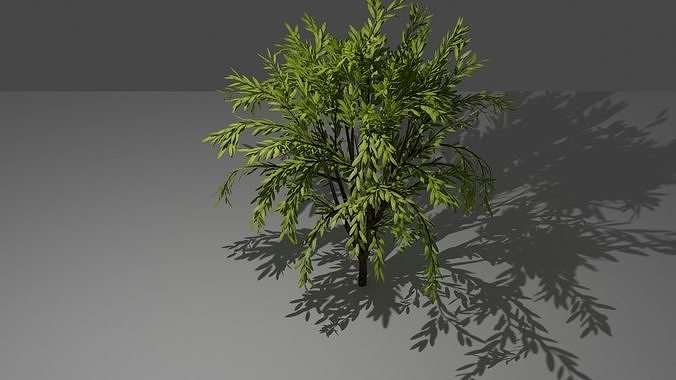 tree simple free 3D model | CGTrader