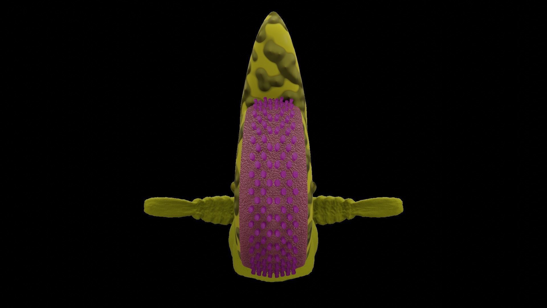 Alien Slug free 3D model rigged | CGTrader