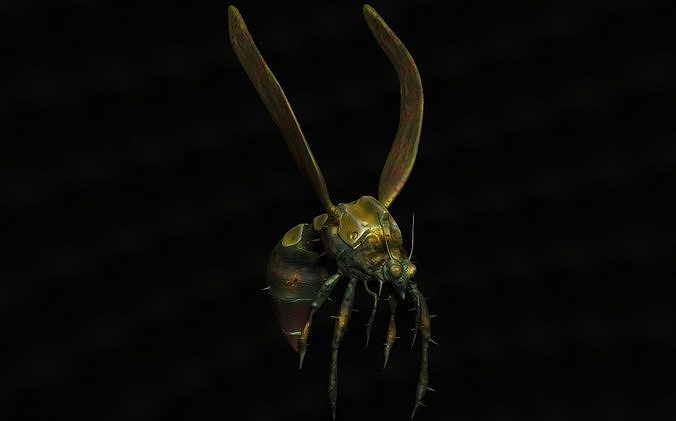 fly insect 3D model | CGTrader