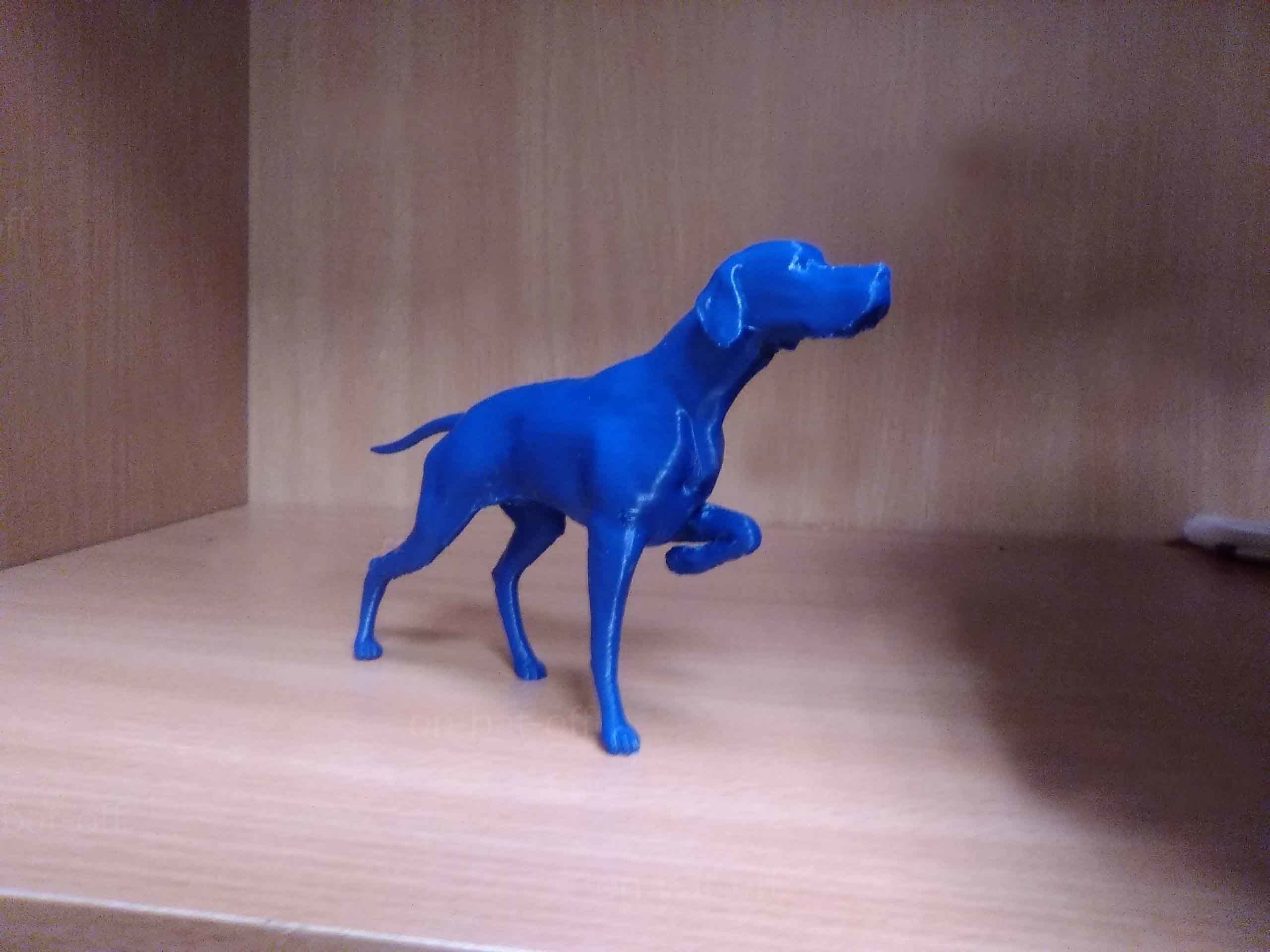 English Pointer 3D model 3D printable | CGTrader