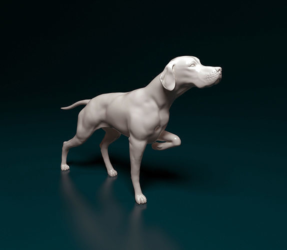English Pointer 3D model 3D printable | CGTrader