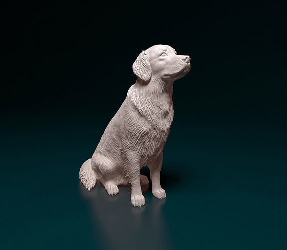 Golden Retriever 3D model 3D printable | CGTrader