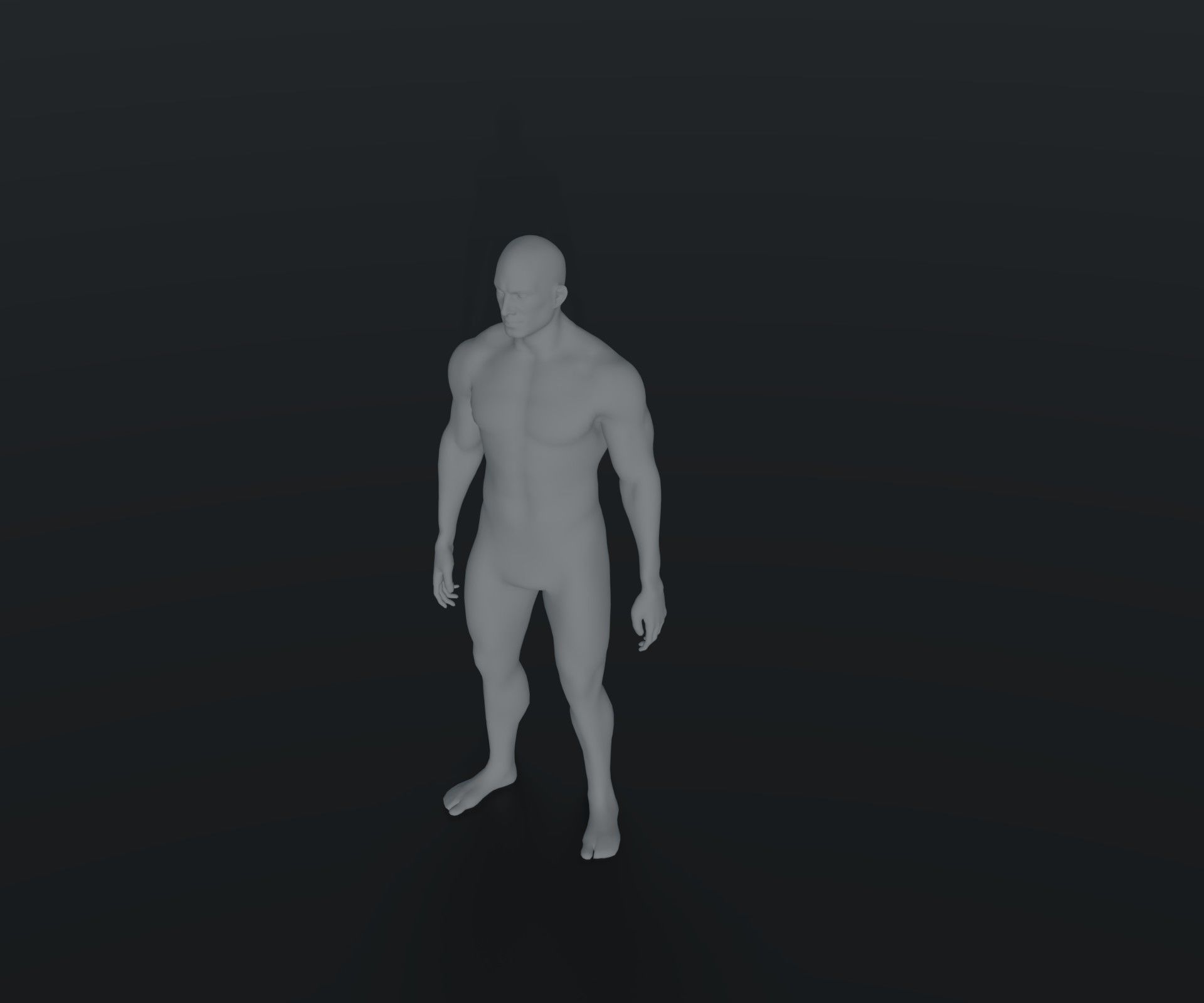3D model Male and Female Body Base Mesh Animated and Rigged 10k ...