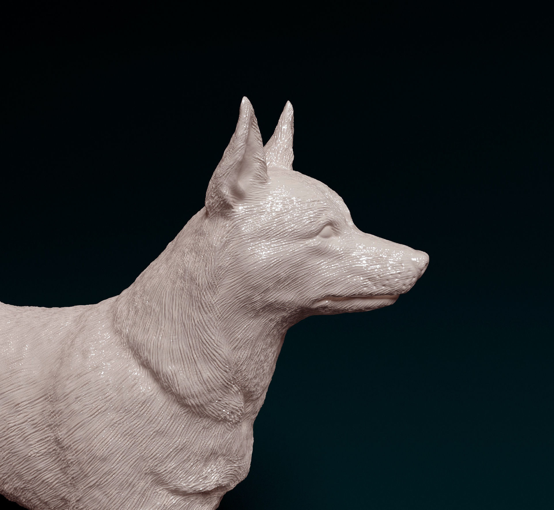 Kelpie australian shepherd 3D model 3D printable | CGTrader