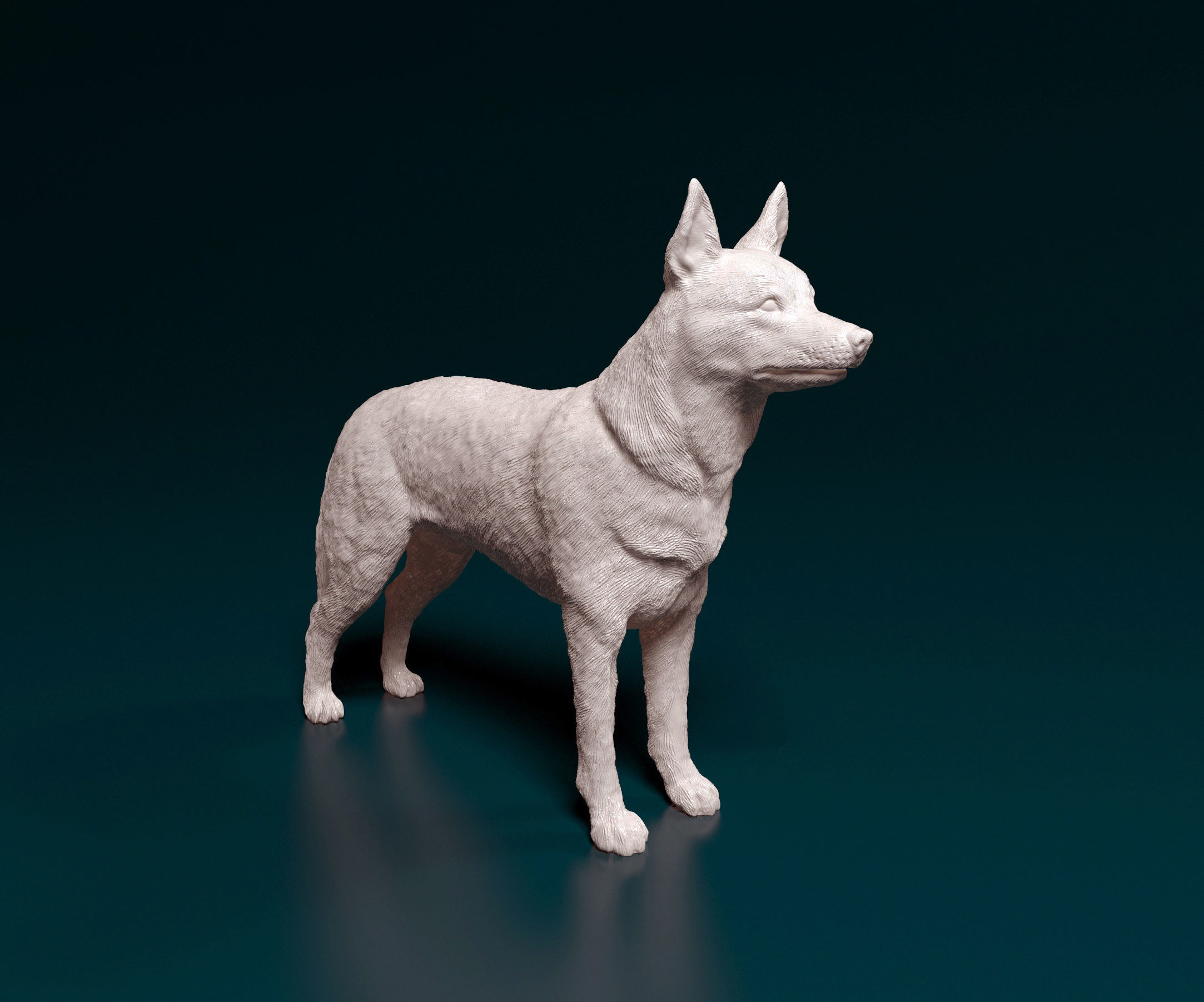 Kelpie australian shepherd 3D model 3D printable | CGTrader
