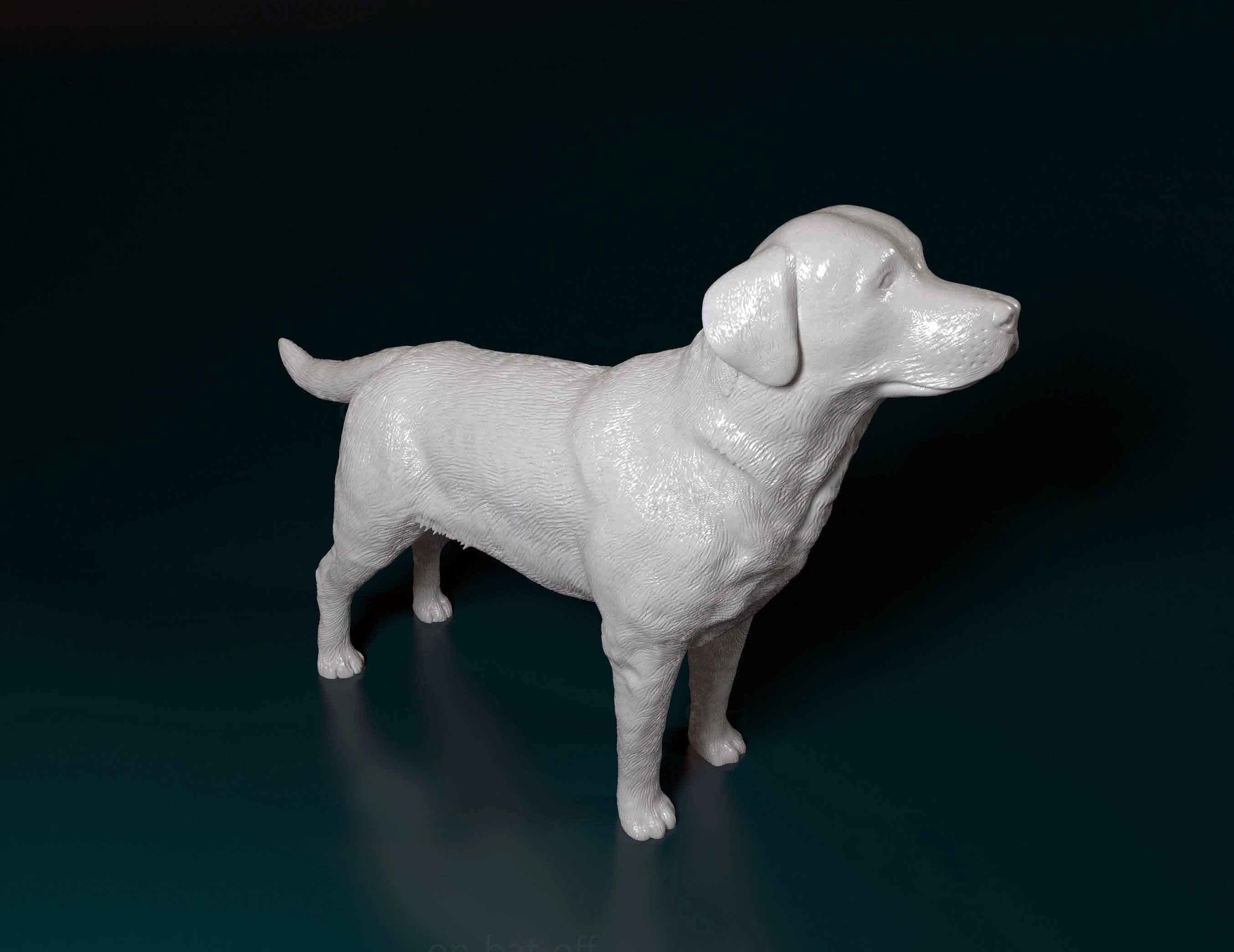 Labrador 3D model 3D printable | CGTrader