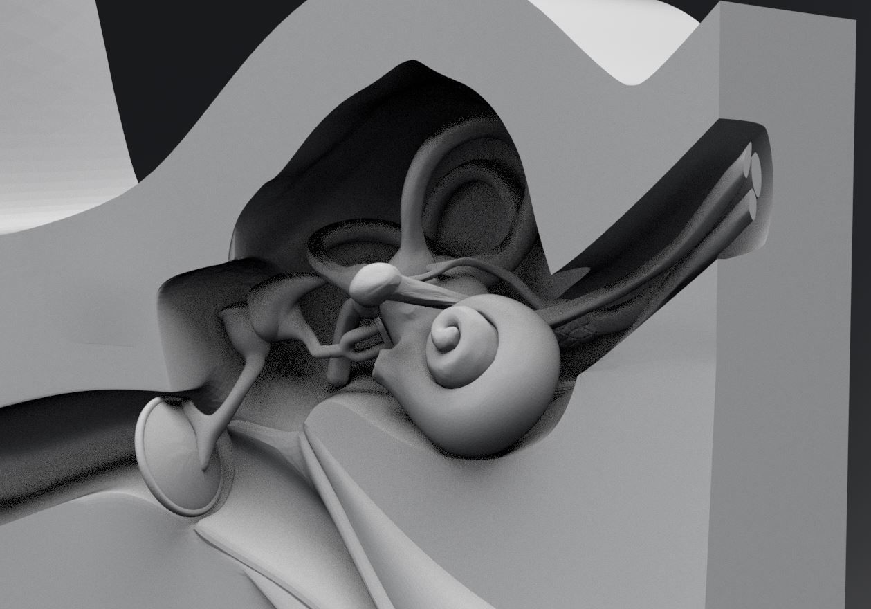 Human Ear Internal 3D model 3D printable | CGTrader