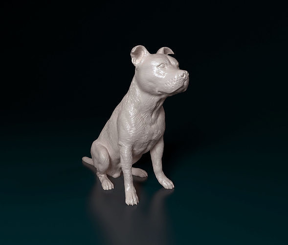Staffordshire bull terrier sitting 3D model 3D printable | CGTrader