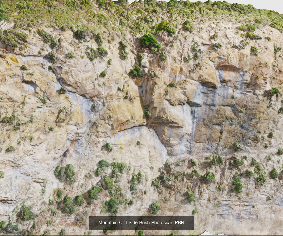 Cliff 3D Models in Pers Scan Collection | CGTrader
