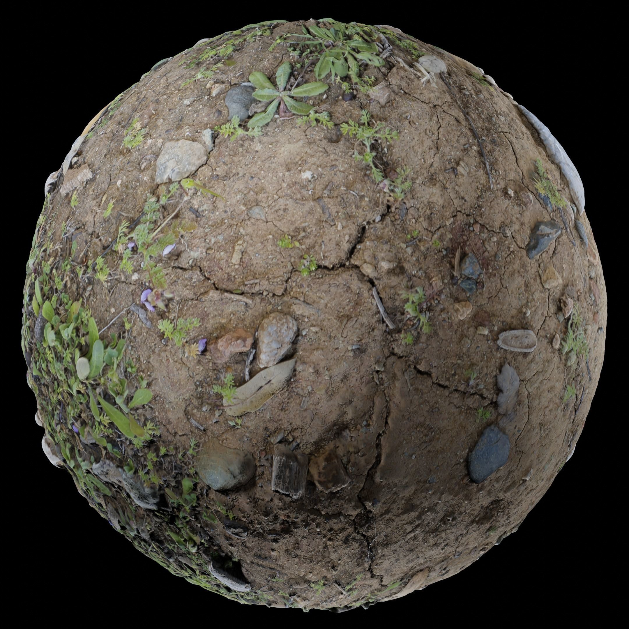 Low Vegetation 5 Texture | CGTrader