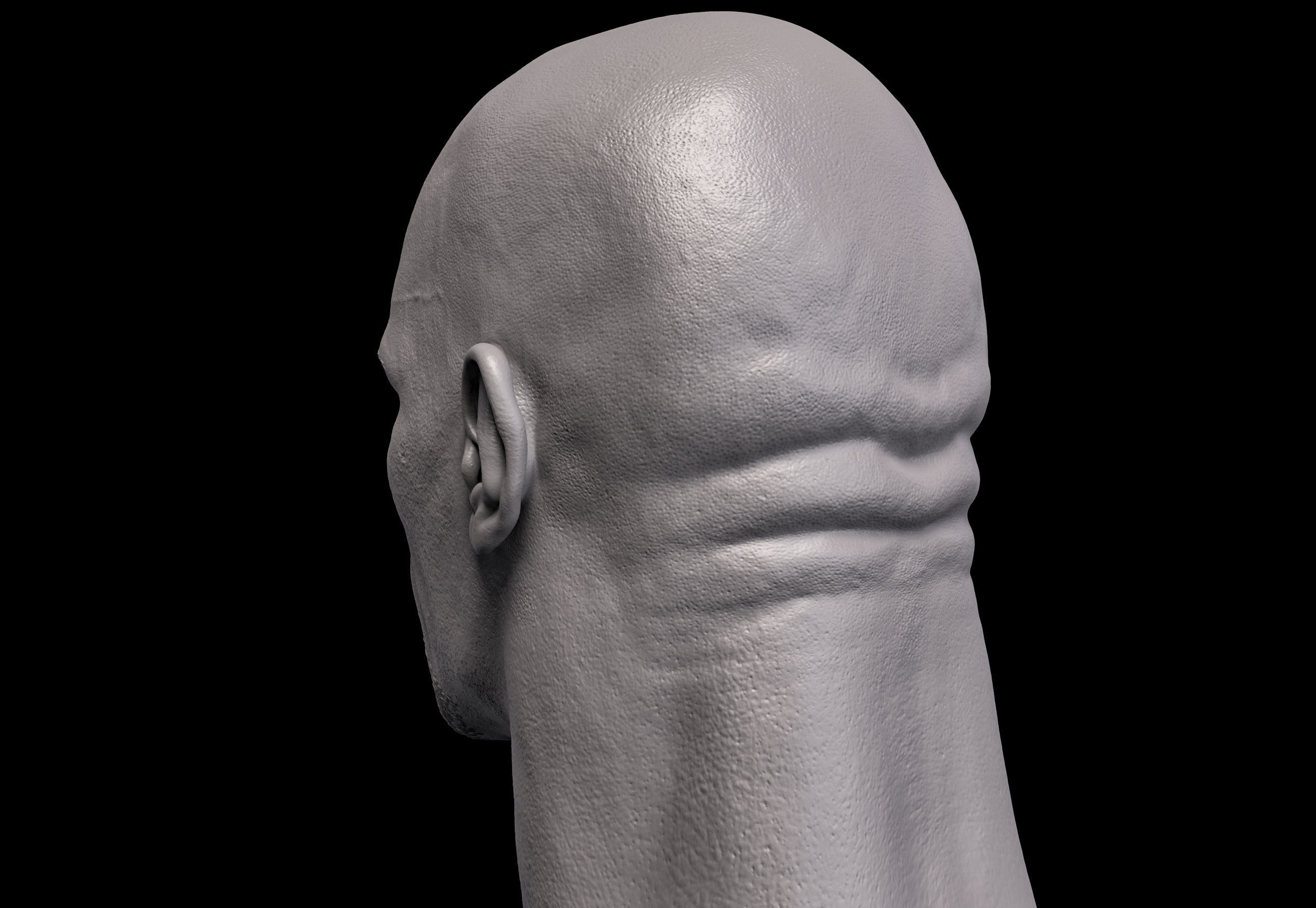 The Rock Head- Dwayne Johnson 3D model 3D printable | CGTrader