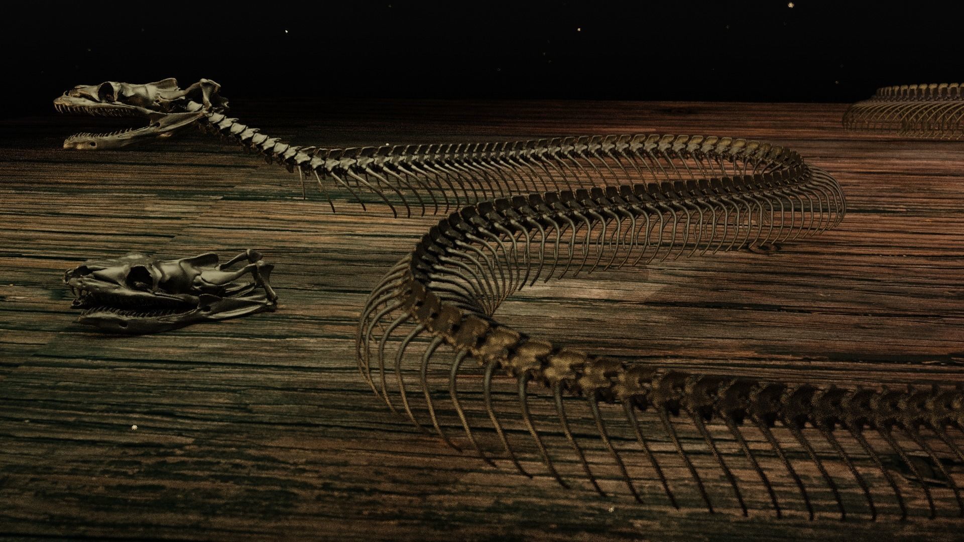 Snake Skeleton Titanoboa 3D model 3D printable | CGTrader