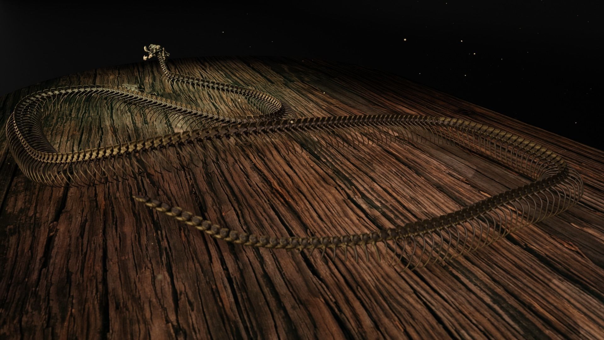 Snake Skeleton Titanoboa 3D model 3D printable | CGTrader