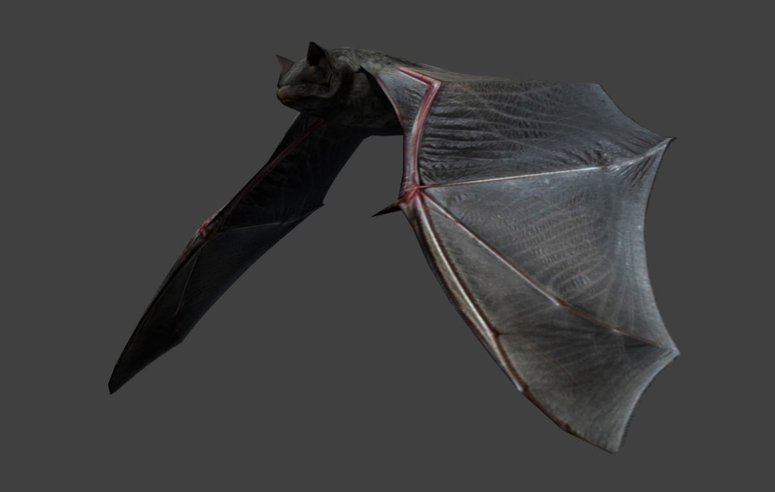 3D model Low poly animated bat VR / AR / low-poly | CGTrader