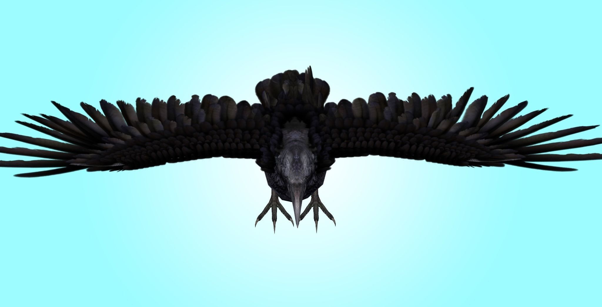 3D model Raven Rig VR / AR / low-poly | CGTrader