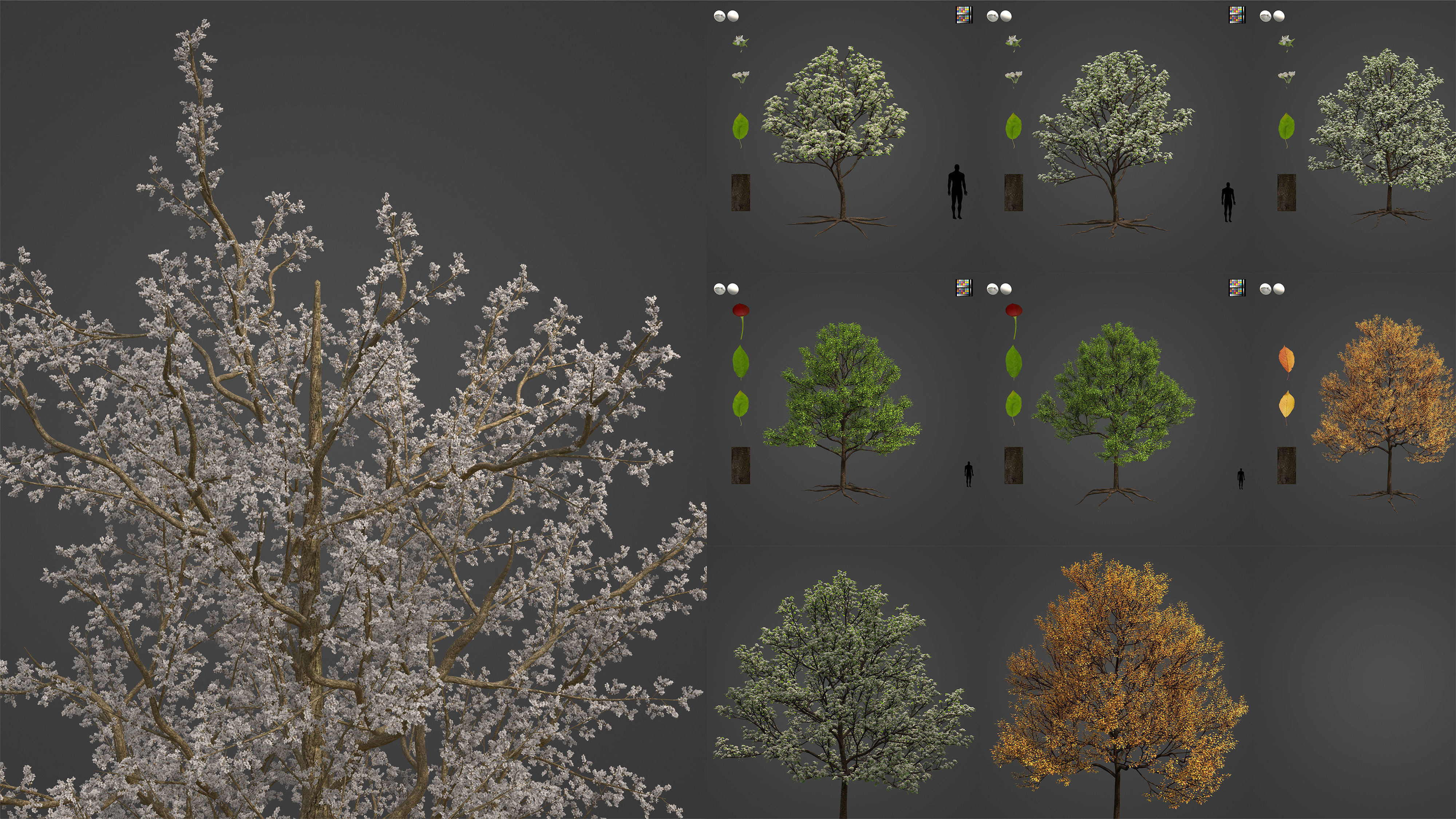 Xfrog Europe 3D Model Collection | CGTrader