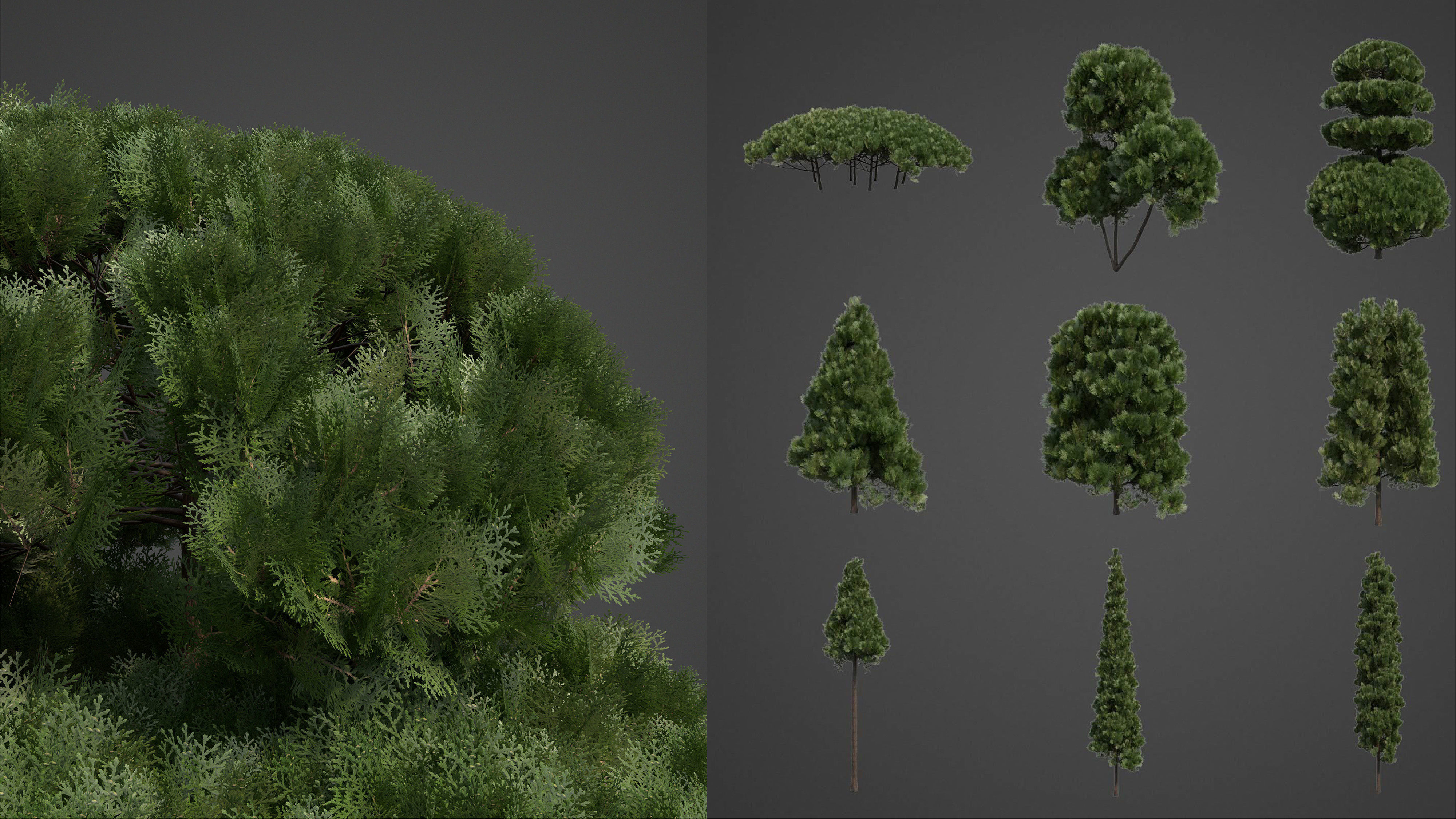 3D Model Collection Xfrog Asia VR / AR / low-poly | CGTrader