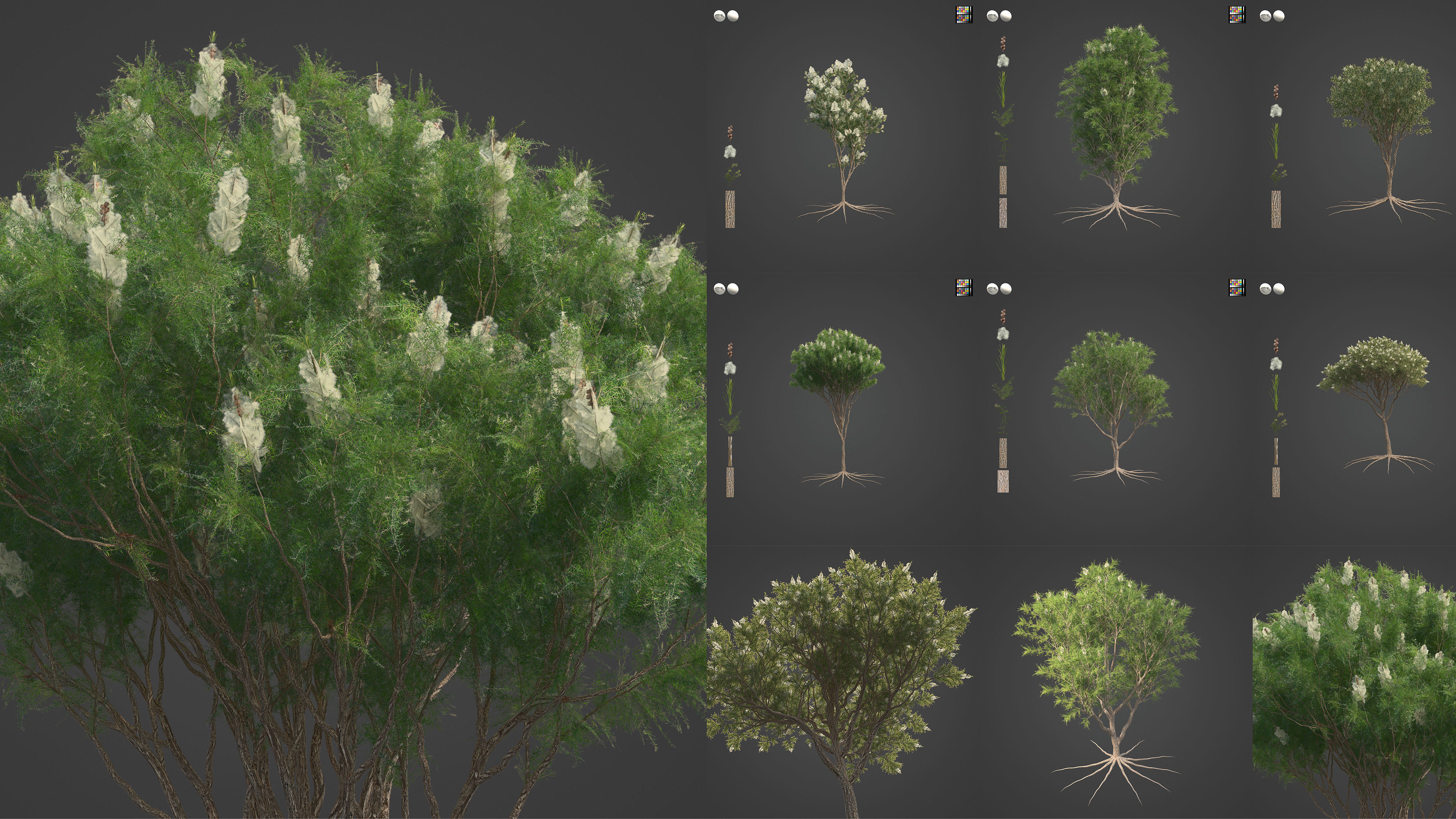 3D Model Collection Xfrog Oceania VR / AR / low-poly | CGTrader