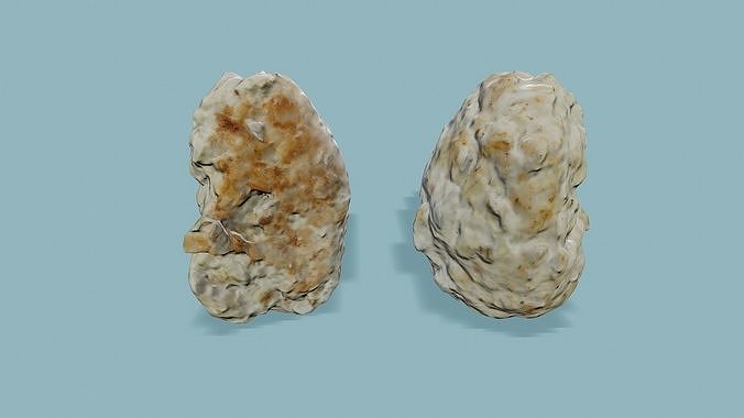 3D model 3D Scan Steam Cutlet 02 VR / AR / low-poly | CGTrader