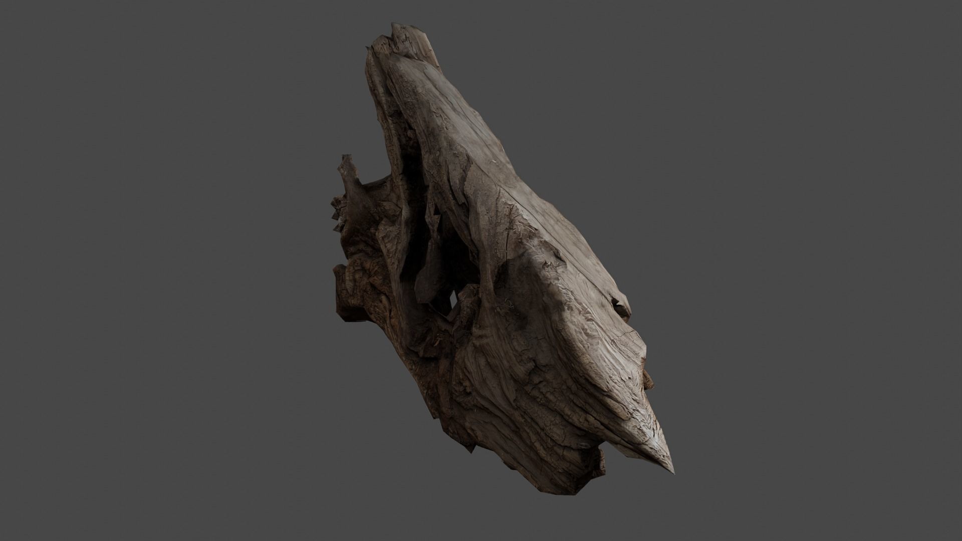 3D Scan of Tree Trunk with Peculiar Shape 3D model | CGTrader