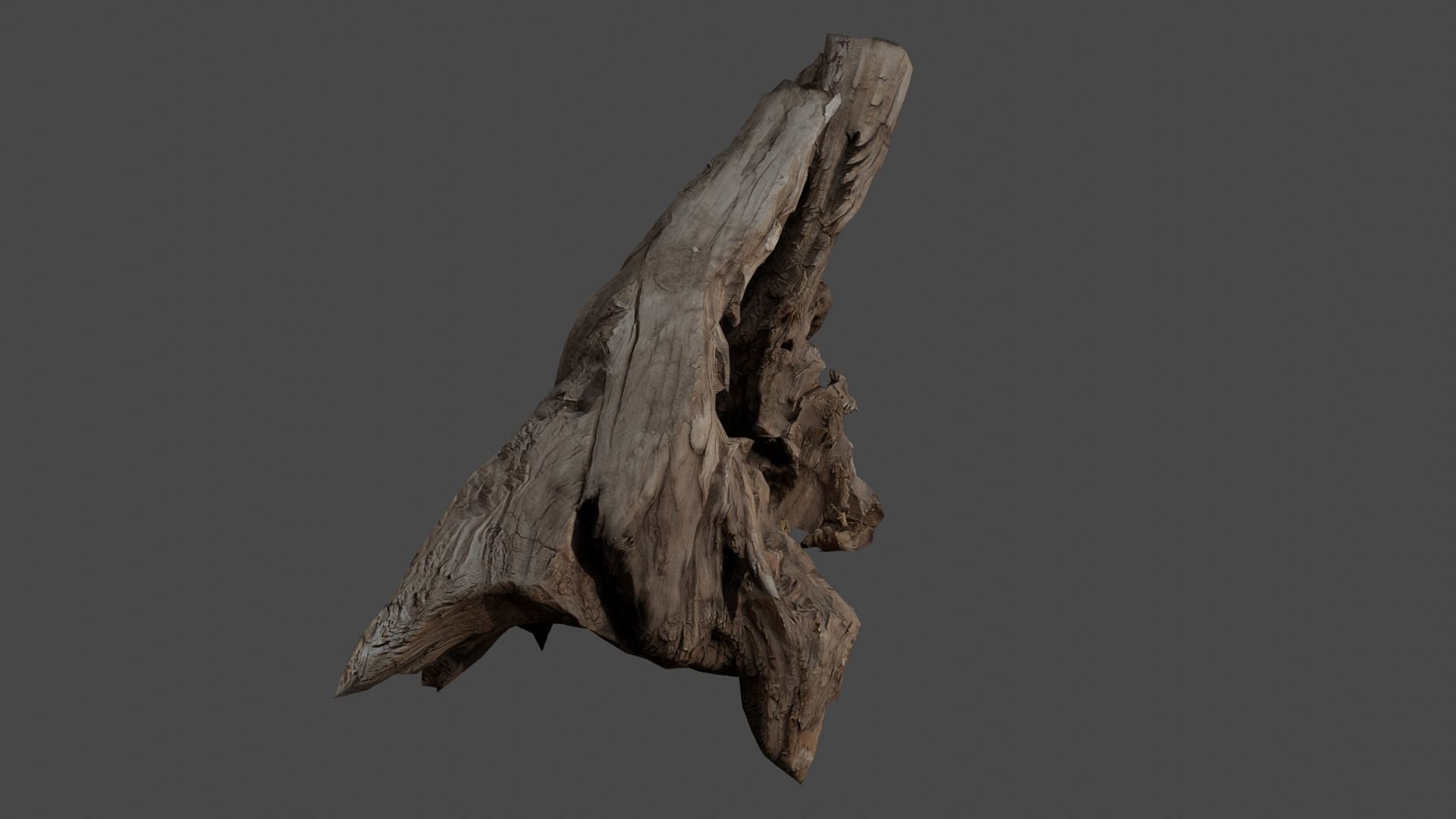 3D Scan of Tree Trunk with Peculiar Shape 3D model | CGTrader