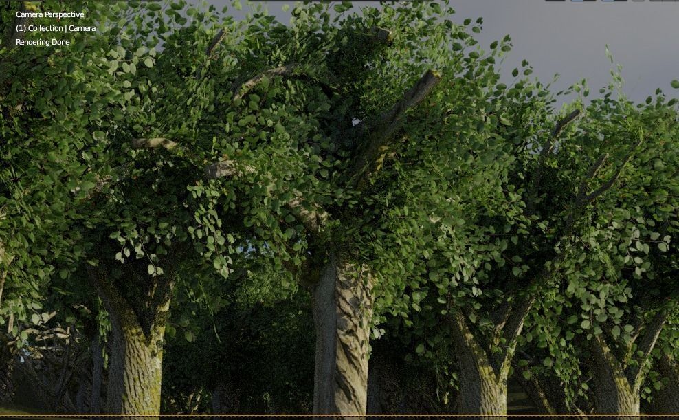 Realistic Trees free VR / AR / low-poly 3D model | CGTrader