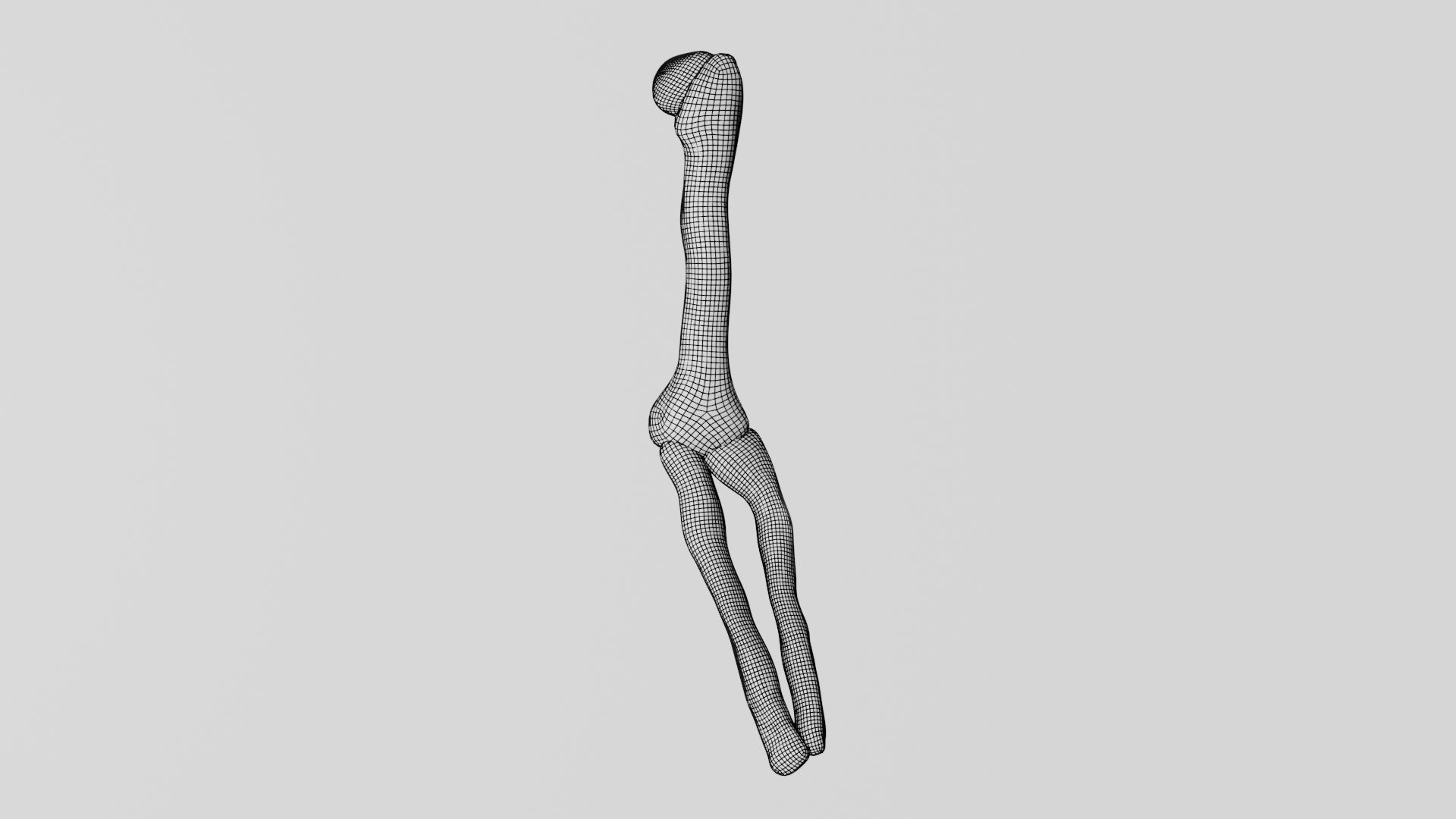 Humerus 3D model | CGTrader