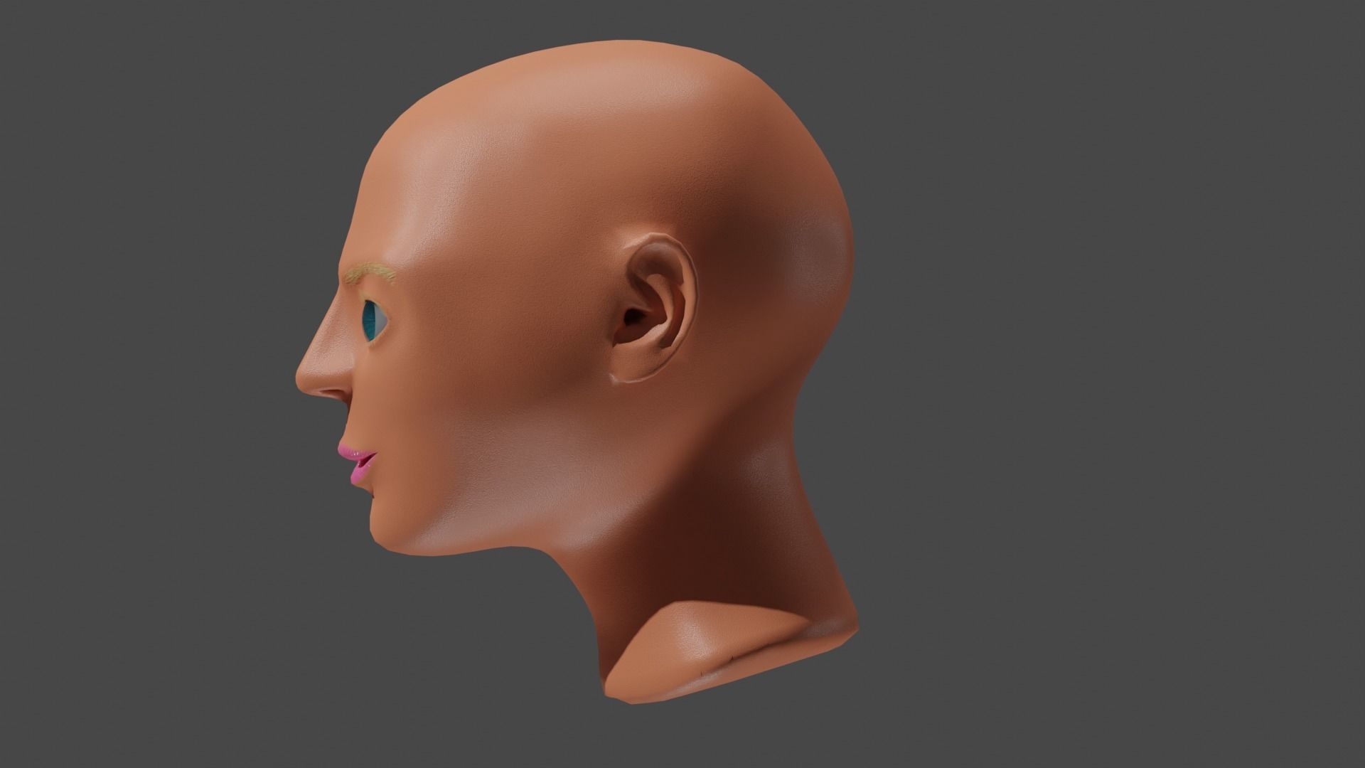 High Poly Head Bust 3D model | CGTrader