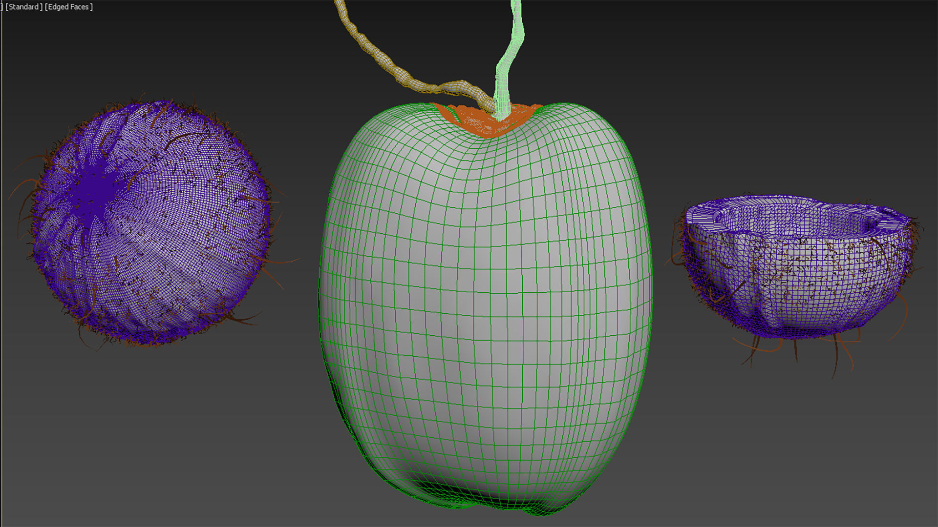 Coconut Coco 3D model | CGTrader